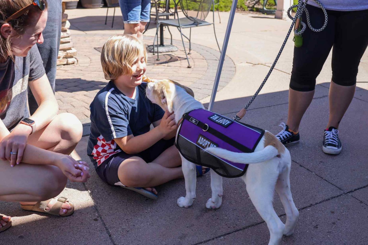 Home - Healing Hearts Rescue