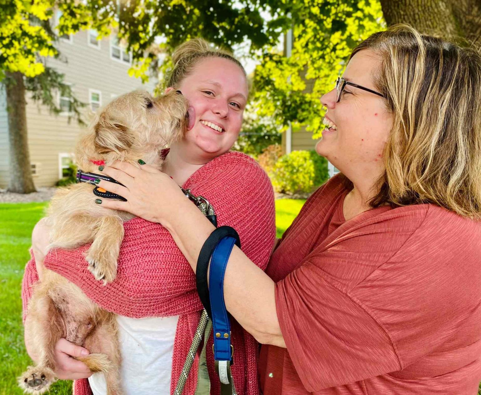 Home - Healing Hearts Rescue